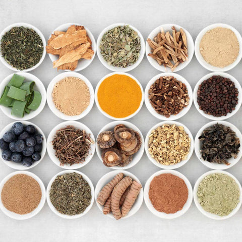 What Are Adaptogens? – Revvl Health